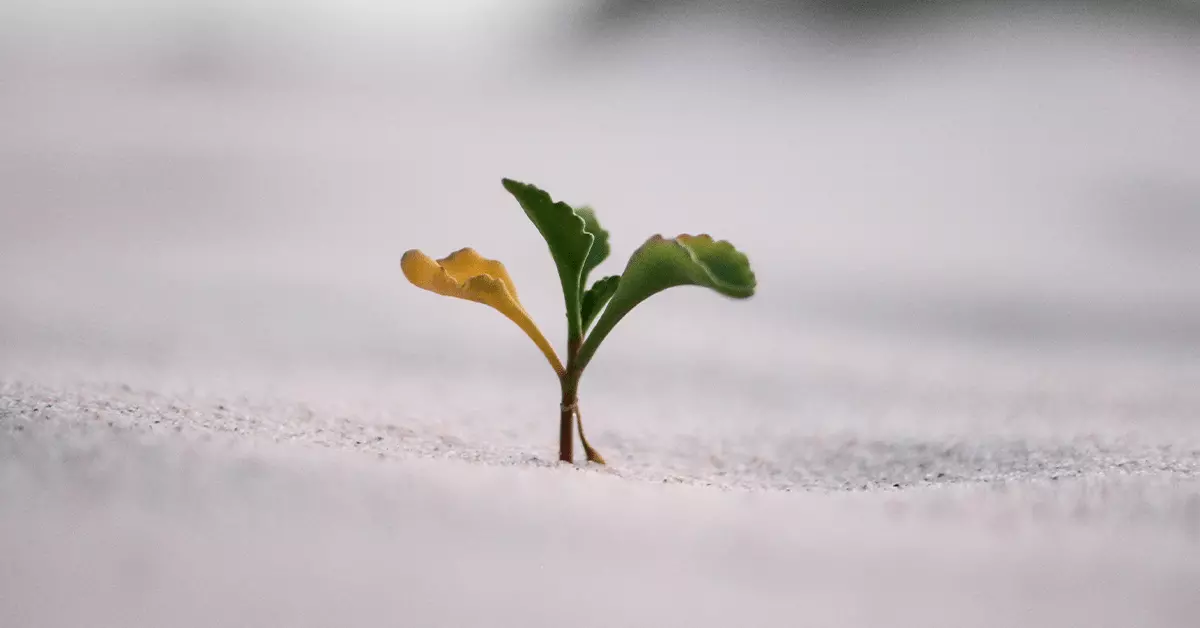 How to Ensure a Strong Start for Your Business